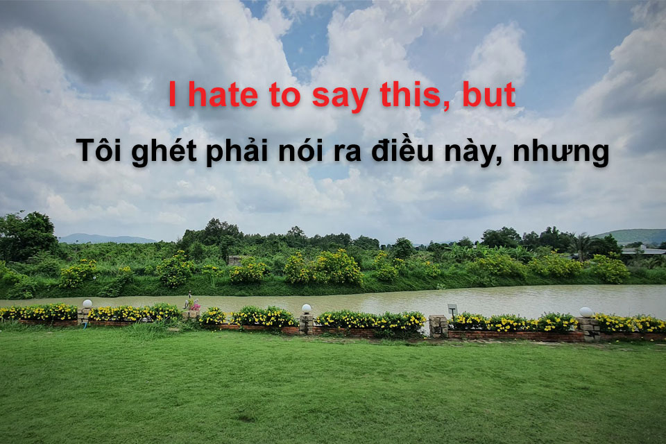 Mẫu câu: I hate to say this, but - Tôi ghét phải nói ra điều này, nhưng